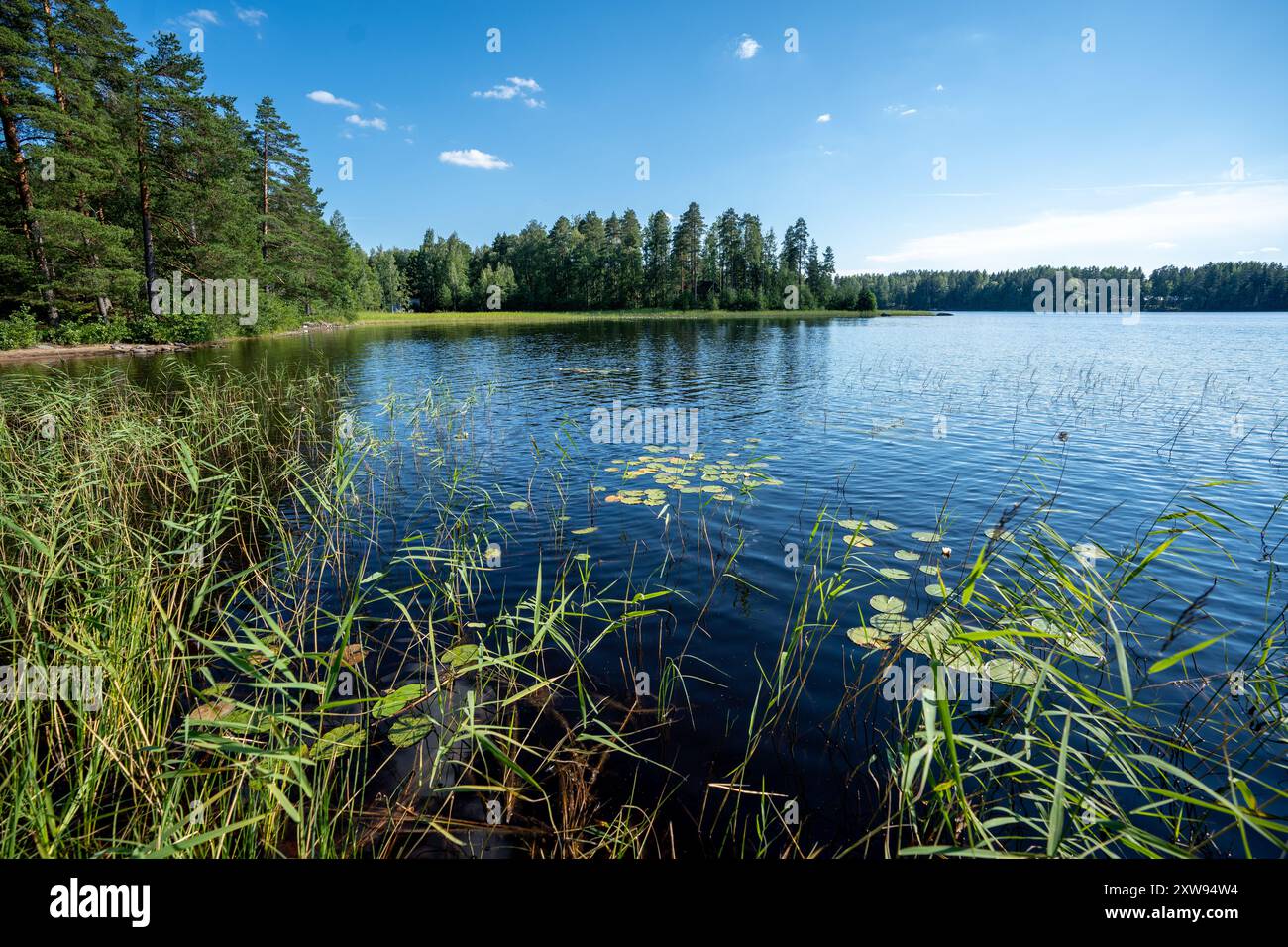 Beauty finnish lakeside hi-res stock photography and images - Alamy