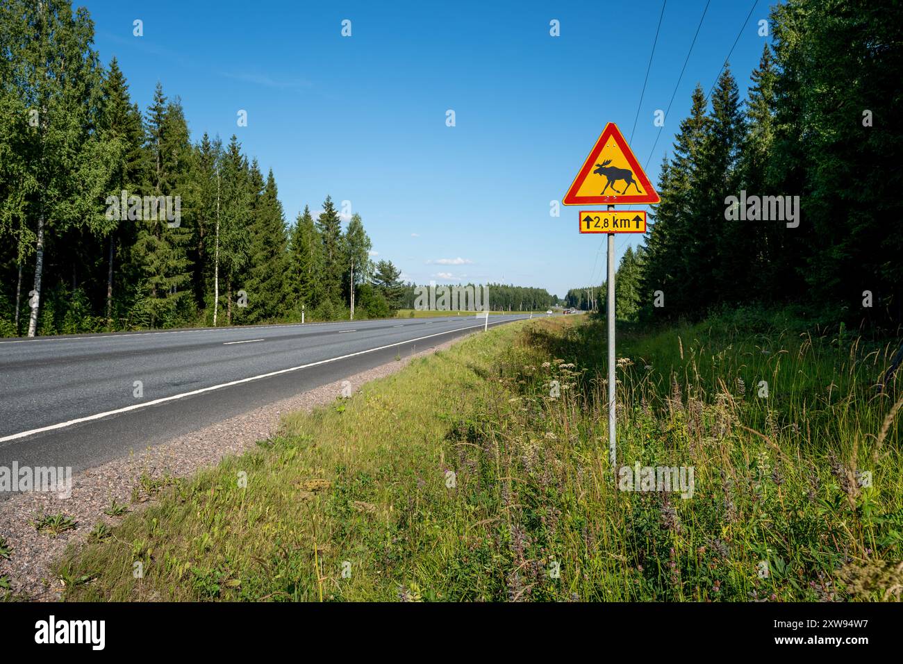 Finnish Road in Summer with Moose Warning Sign Surrounded by Trees ...
