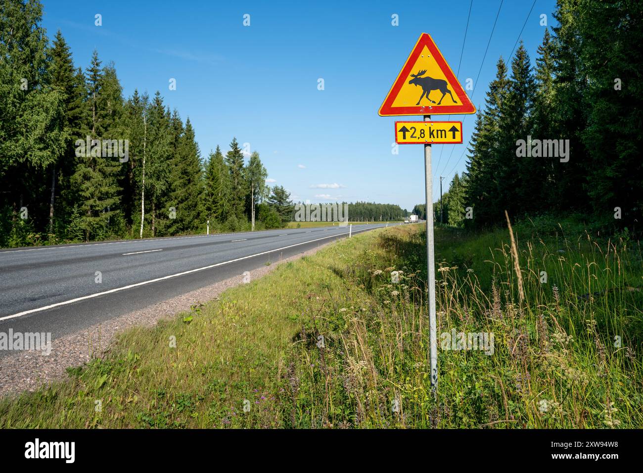 Finnish Road in Summer with Moose Warning Sign Surrounded by Trees ...