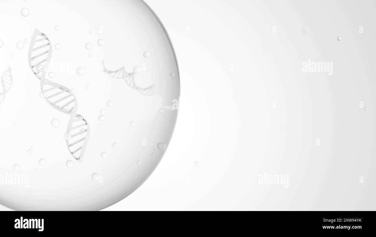 A couple of DNA double helix strand in a cell on white background ...