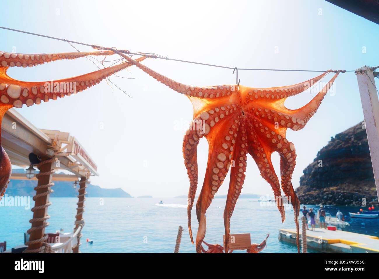 sun dried octopus Stock Photo - Alamy