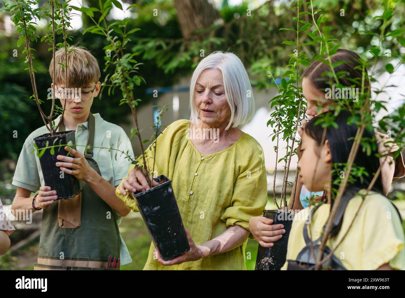 Kids learning about fruit tree seedling and fruit bushes, taking care ...