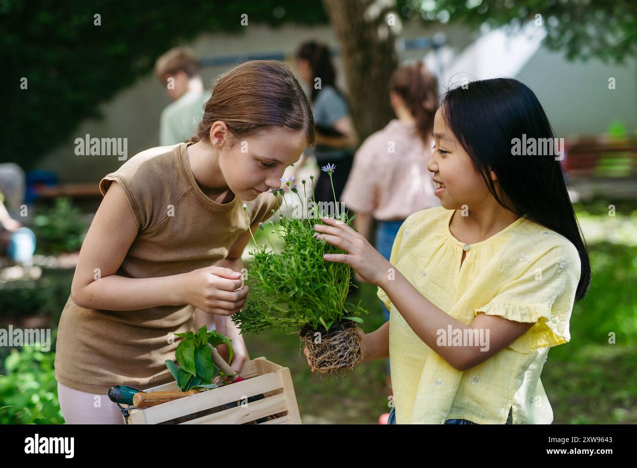 Portrait of cute schoolgirls taking care of plants in school garden ...