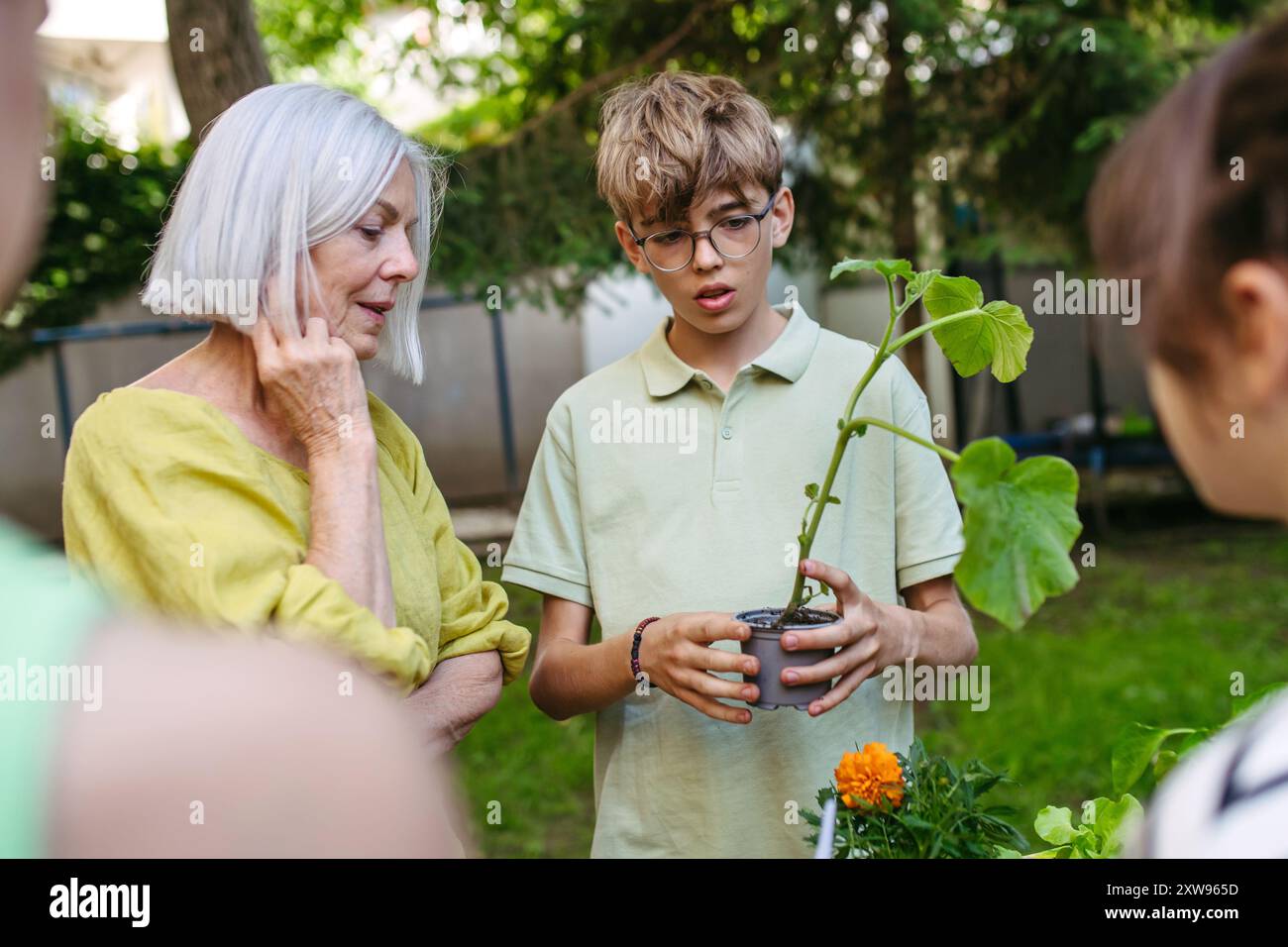 Children learning about vegetable seedlings and gardening at outdoor ...