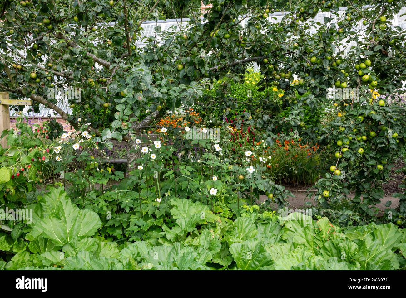 Vegetable trees hi-res stock photography and images - Alamy