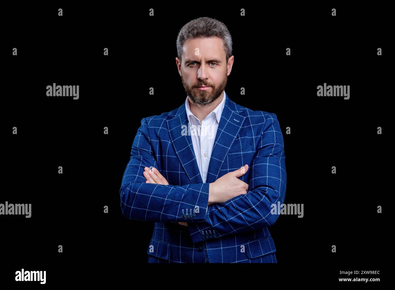 Business boss portrait of business man. Successful business. Success of ...