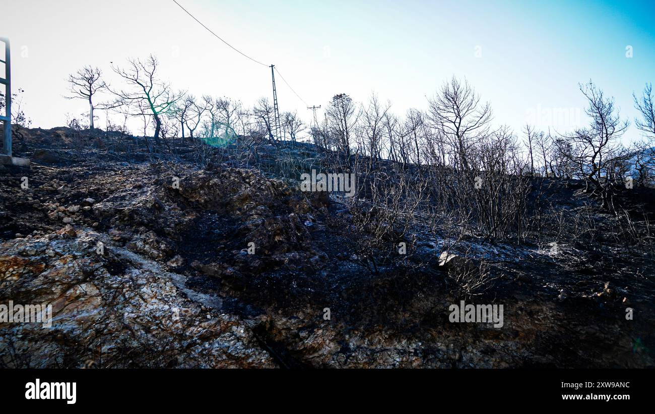 The wildfire that was started on Yamanlar Mountain in Izmir on August ...