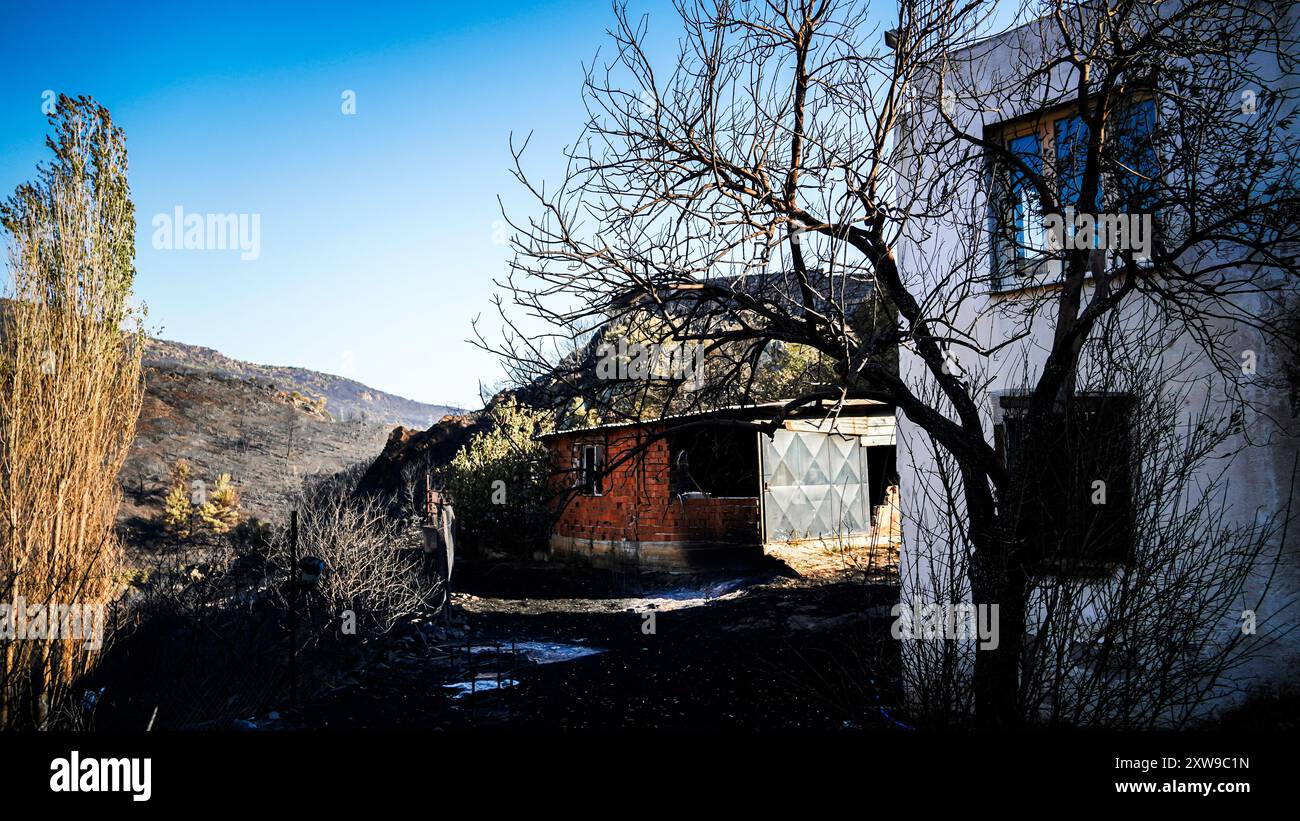 The wildfire that was started on Yamanlar Mountain in Izmir on August ...