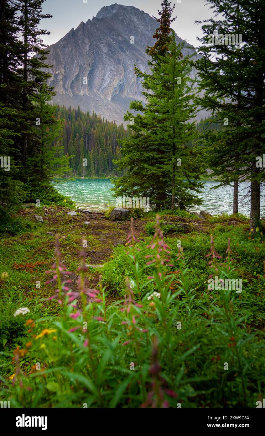 Surrounded by majestic peaks hi-res stock photography and images - Alamy