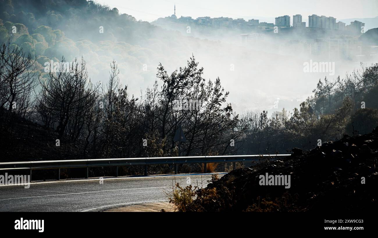 The wildfire that was started on Yamanlar Mountain in Izmir on August ...