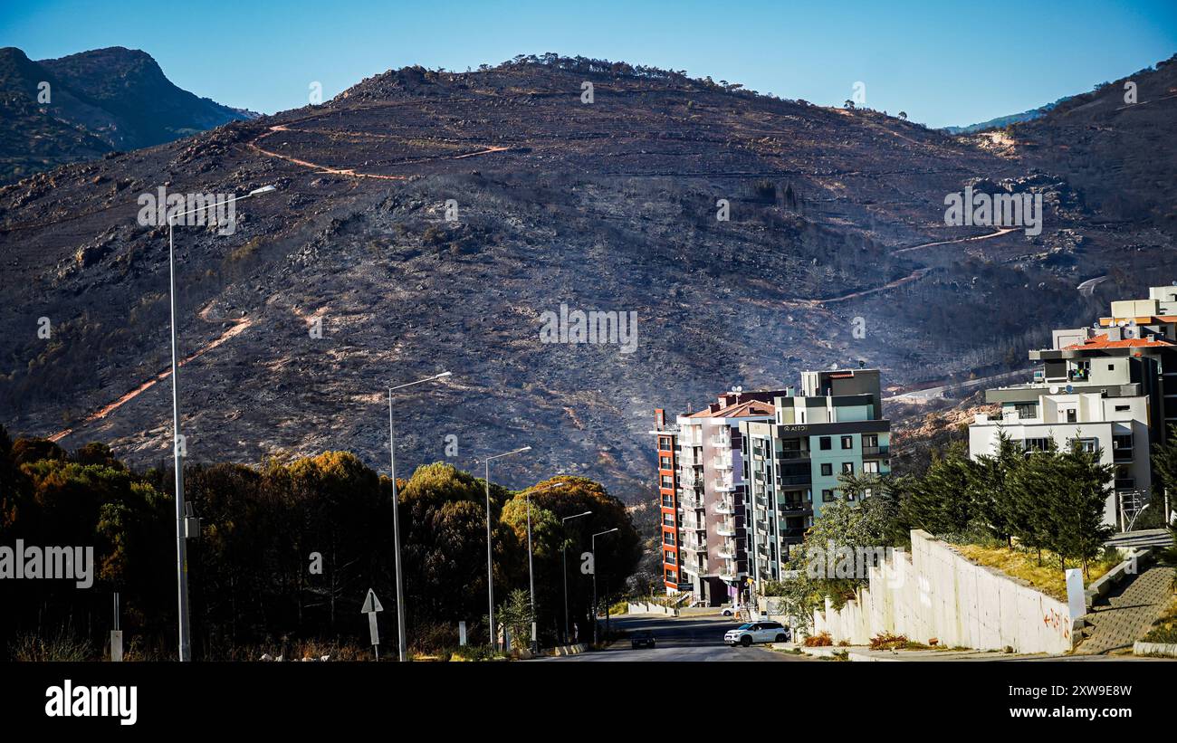 Aftermath of the Izmir Yamanlar Wildfire The wildfire that was started ...