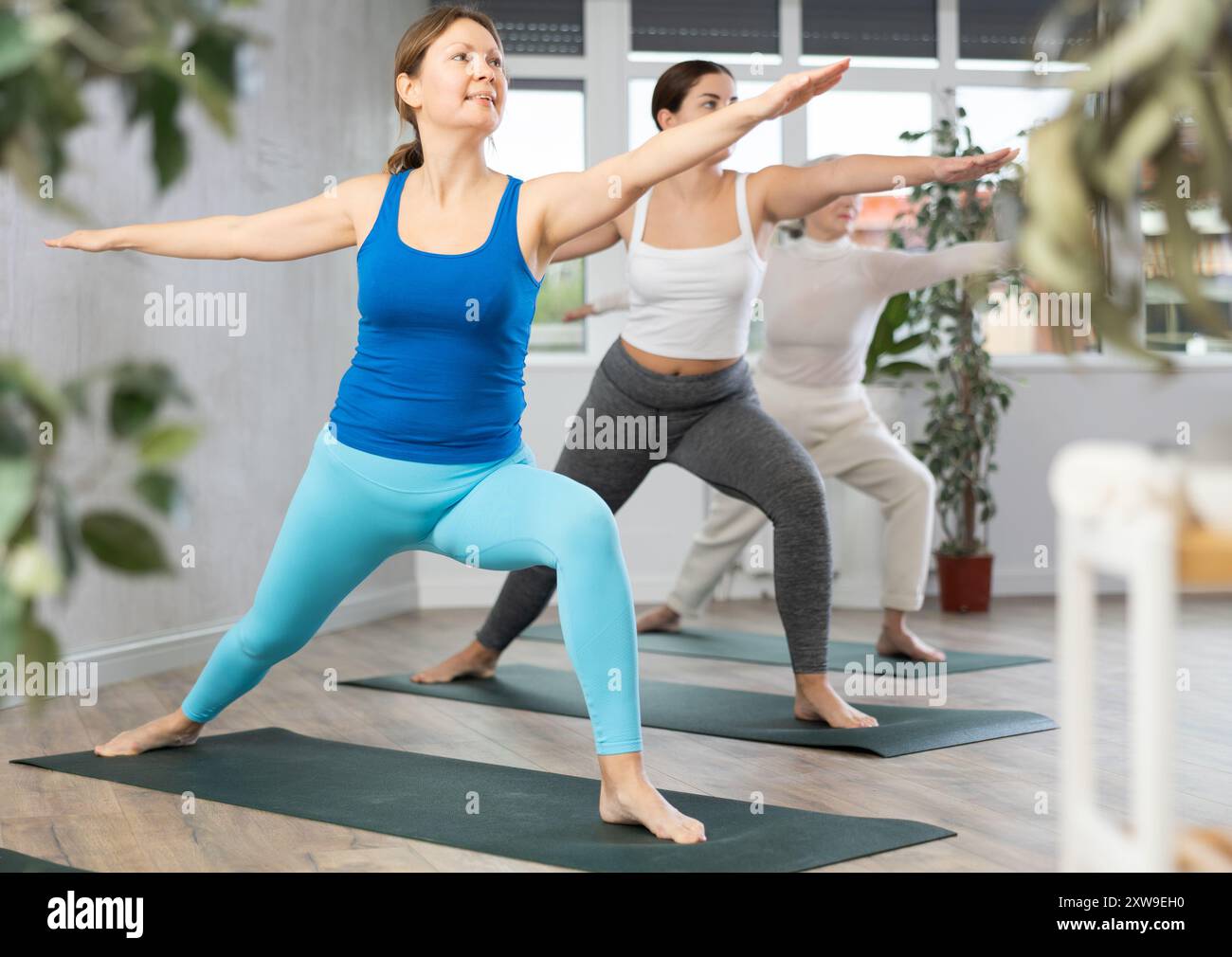 Active women perform the exercise in the warrior pose Stock Photo - Alamy