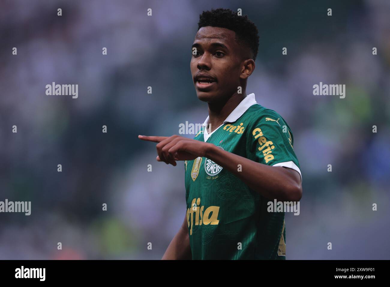 Sao Paulo, Brazil. 18th Aug, 2024. SP - SAO PAULO - 08/18/2024 - BRAZILIAN A 2024, PALMEIRAS x ...