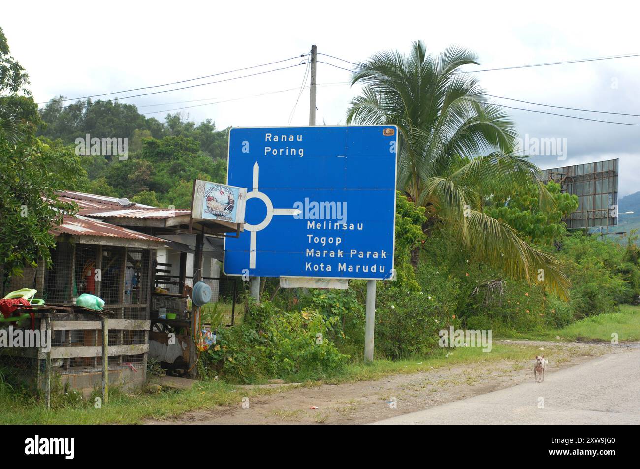 Roundabout road sign, Bongkud, Ranau, Sabah, Malaysia Stock Photo - Alamy