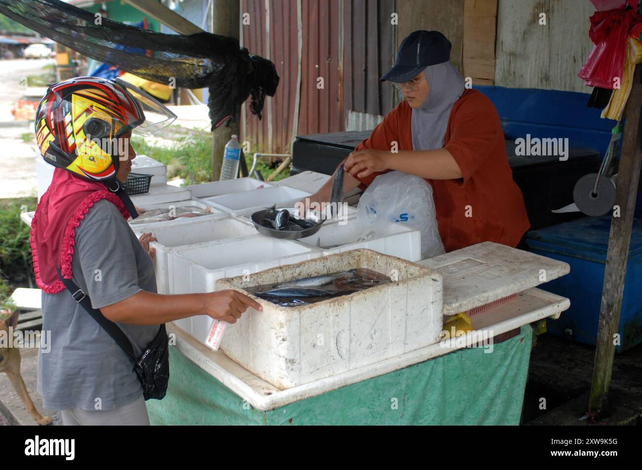Muslim lady selling fish, Bongkud, Ranau, Sabah, Malaysia Stock Photo ...