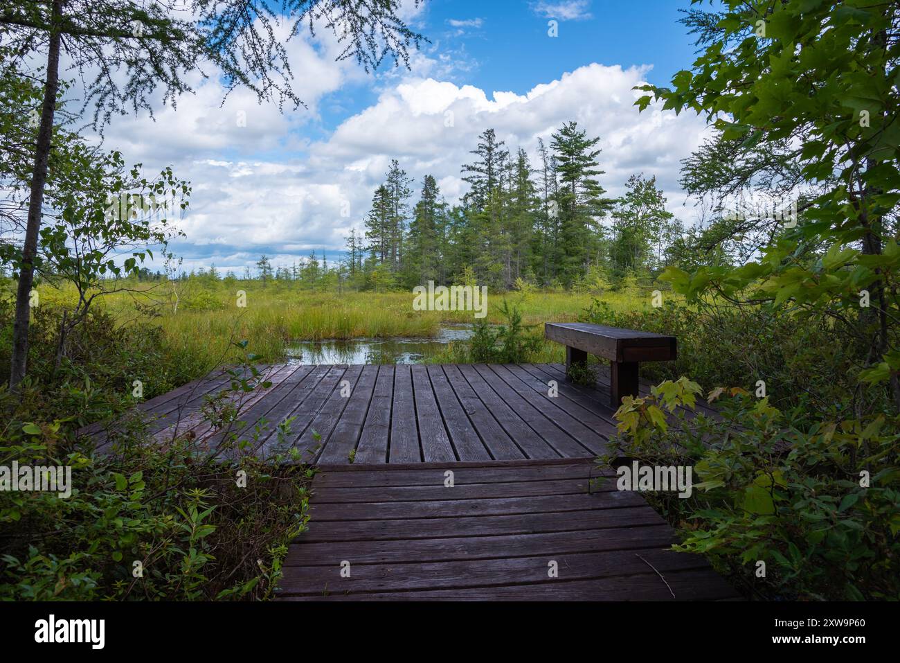 Trail of the Saint-Narcisse peat bog natural park (Saint-Narcisse ...