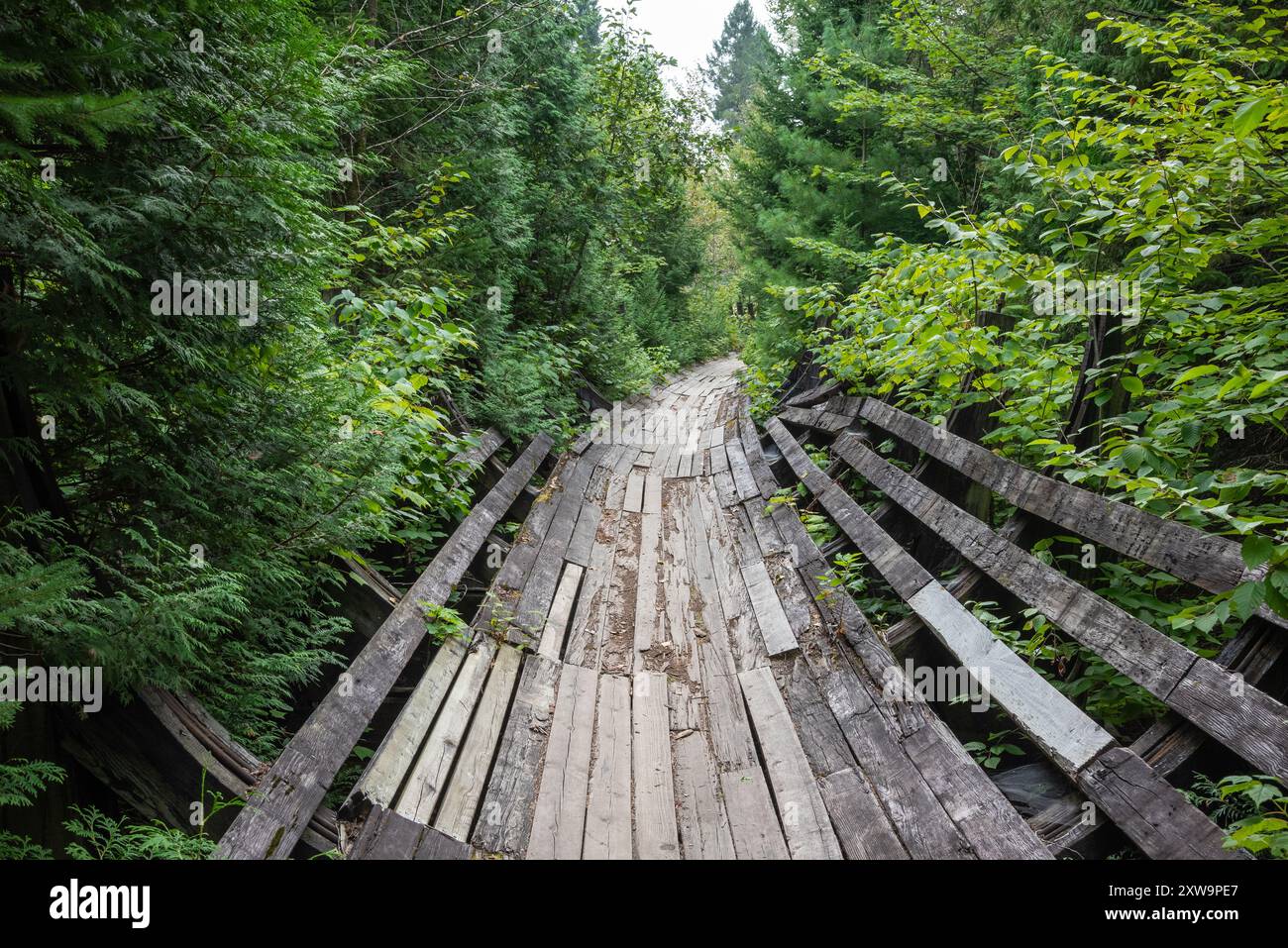 Remains of the wooden penstock from the former Saint-Alban ...