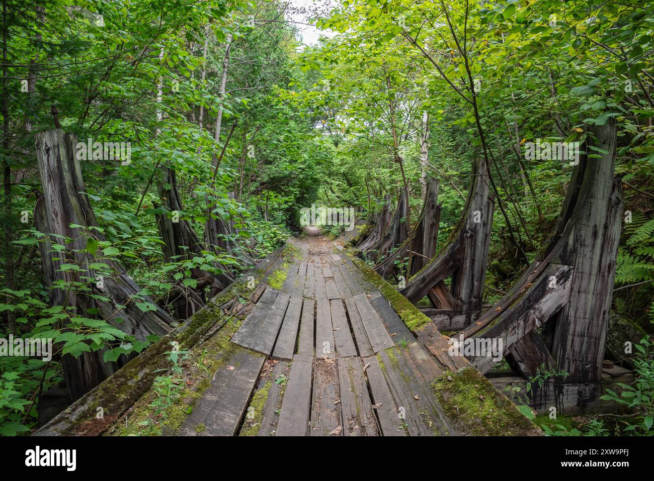 Remains of the wooden penstock from the former Saint-Alban ...