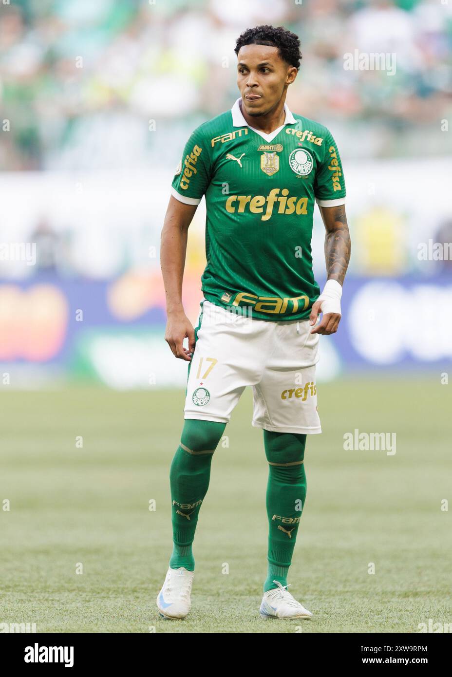 Sao Paulo, Brazil. 18th August, 2024. Soccer Football - Brazilian Championship – Palmeiras v São ...