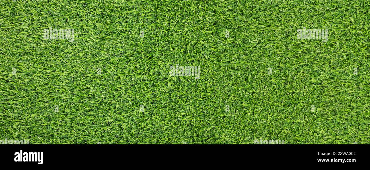 Green artificial grass as background, banner design Stock Photo - Alamy