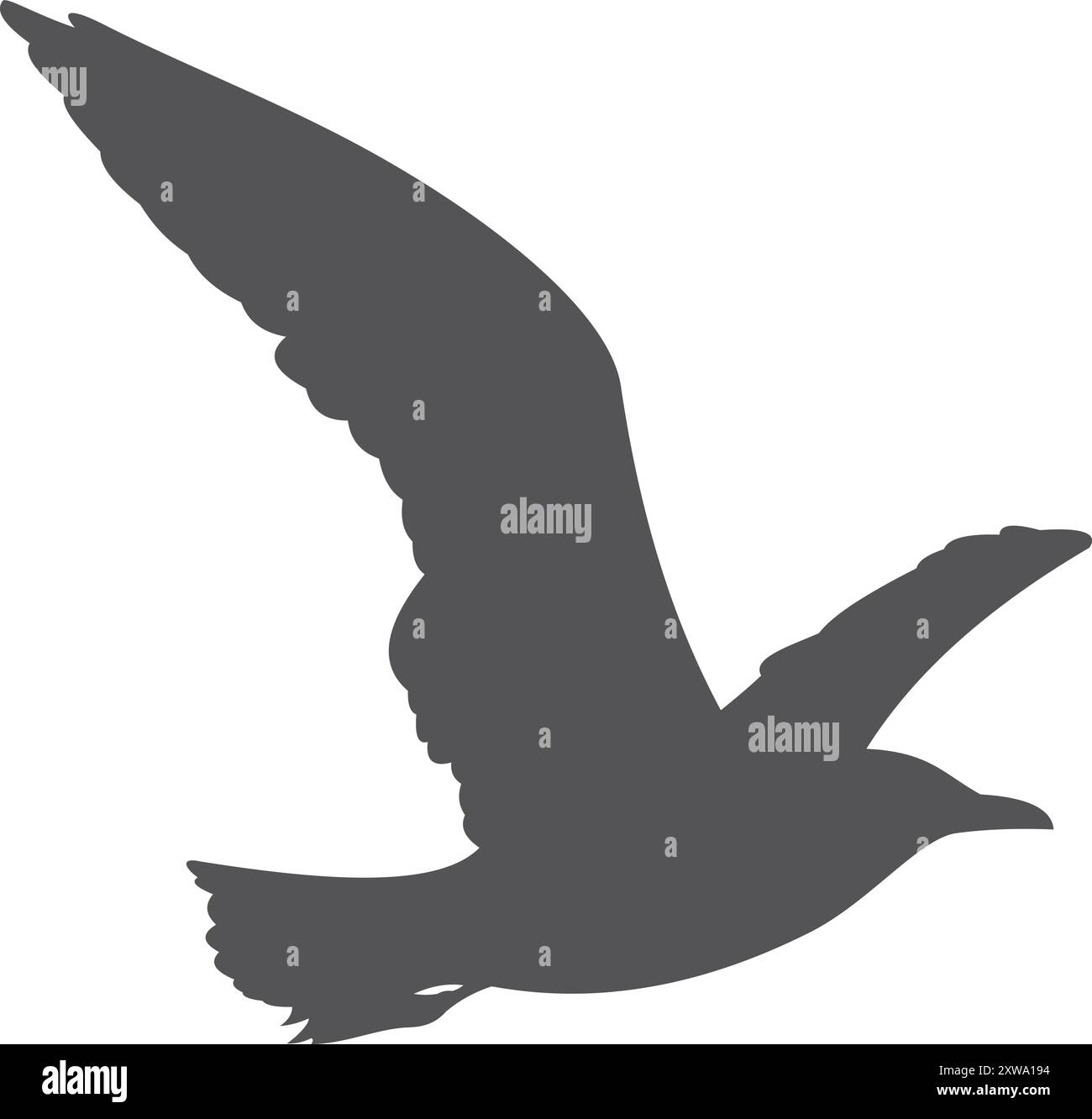 Free the animals Black and White Stock Photos & Images - Alamy