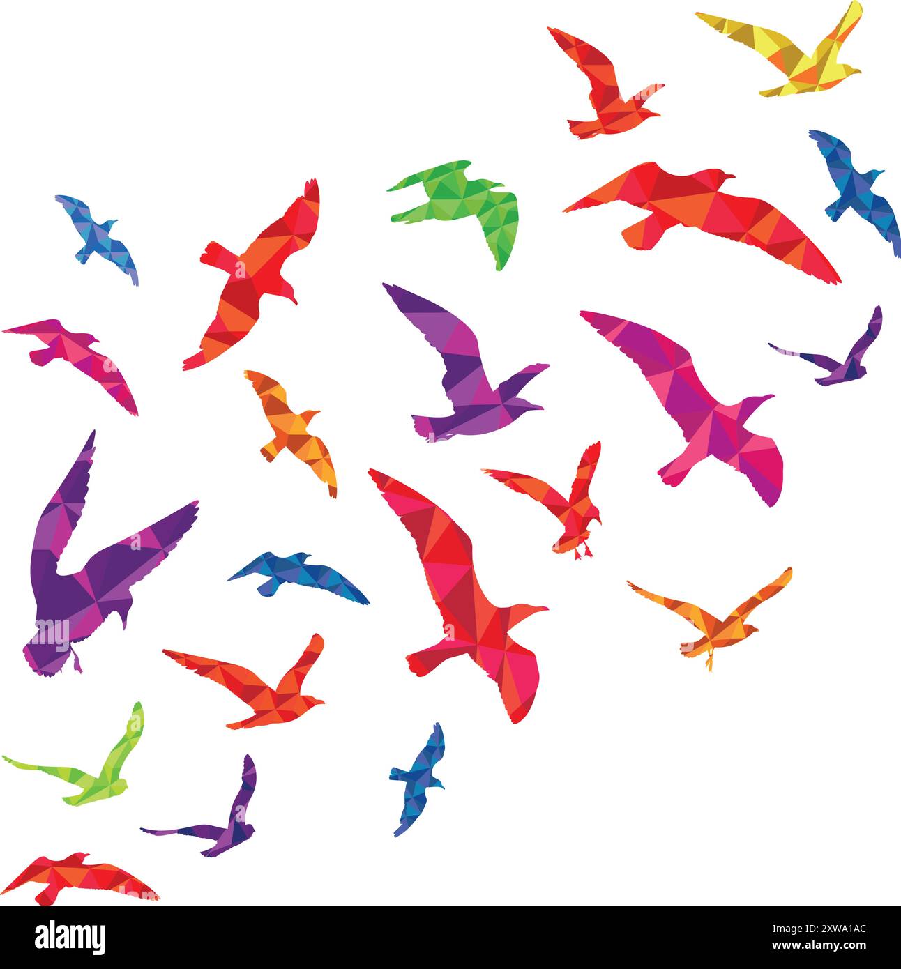Bird color pattern hi-res stock photography and images - Alamy