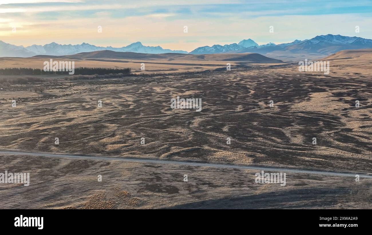 The dry agricultural countryside of the Mackenzie country near the ...