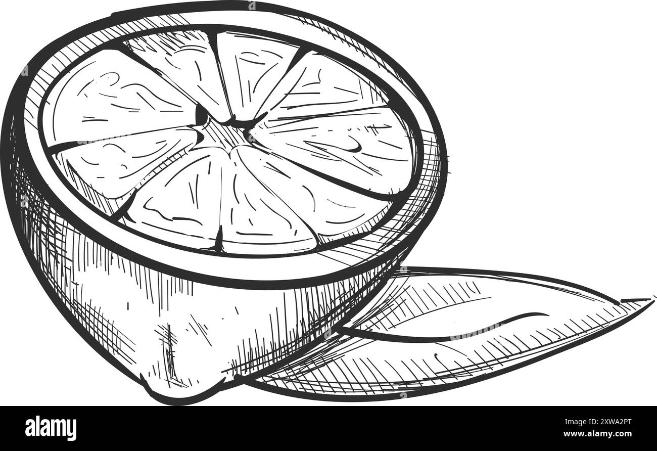 Lemon fruit branch hand Black and White Stock Photos & Images - Alamy