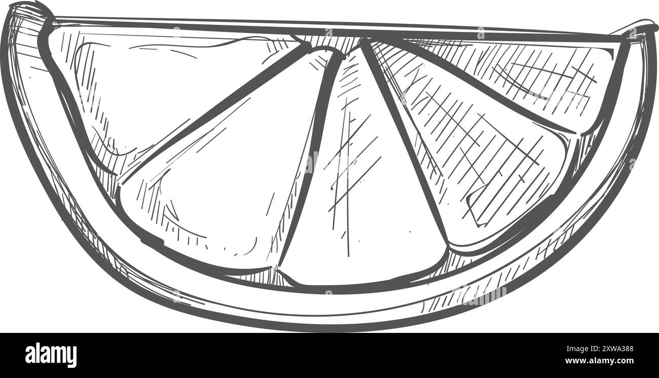 Citrus lemon fruit Black and White Stock Photos & Images - Alamy