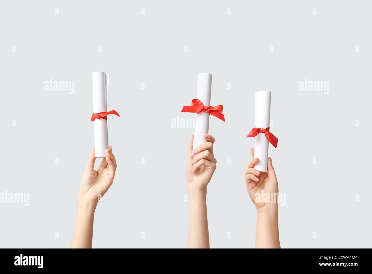 Female hands holding diplomas on white background Stock Photo - Alamy