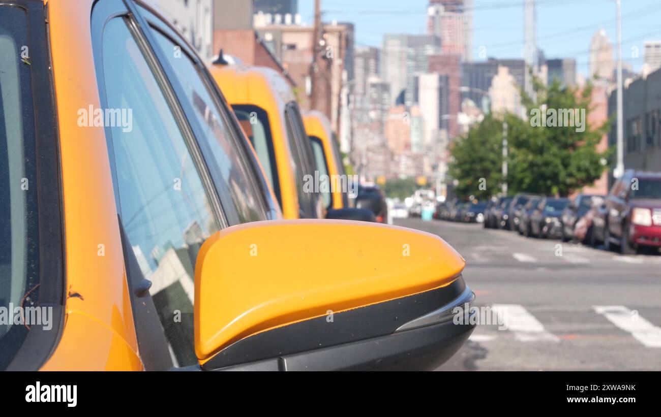 Medallion yellow hi-res stock photography and images - Alamy