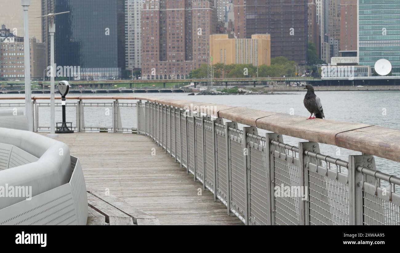 New York City waterfront skyline, Manhattan Midtown buildings ...