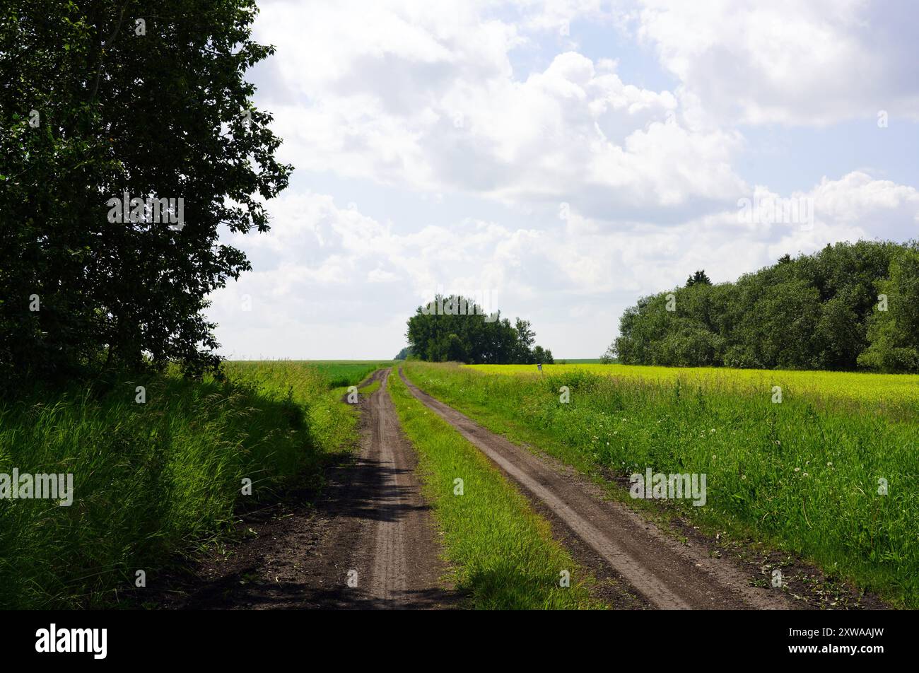 Rutted farm track hi-res stock photography and images - Alamy