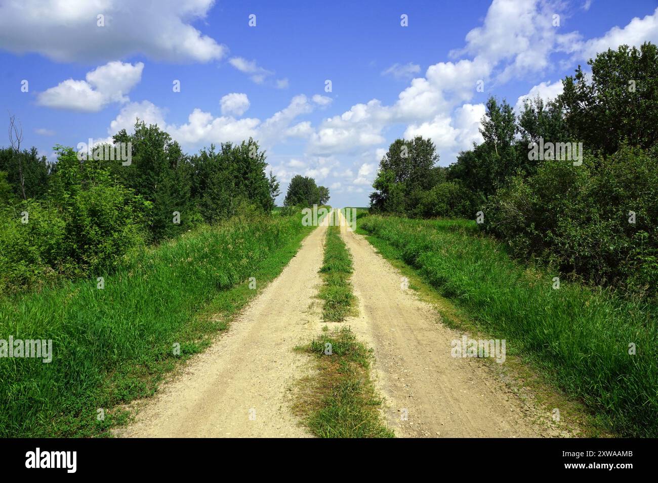 Overgrown road in country hi-res stock photography and images - Alamy