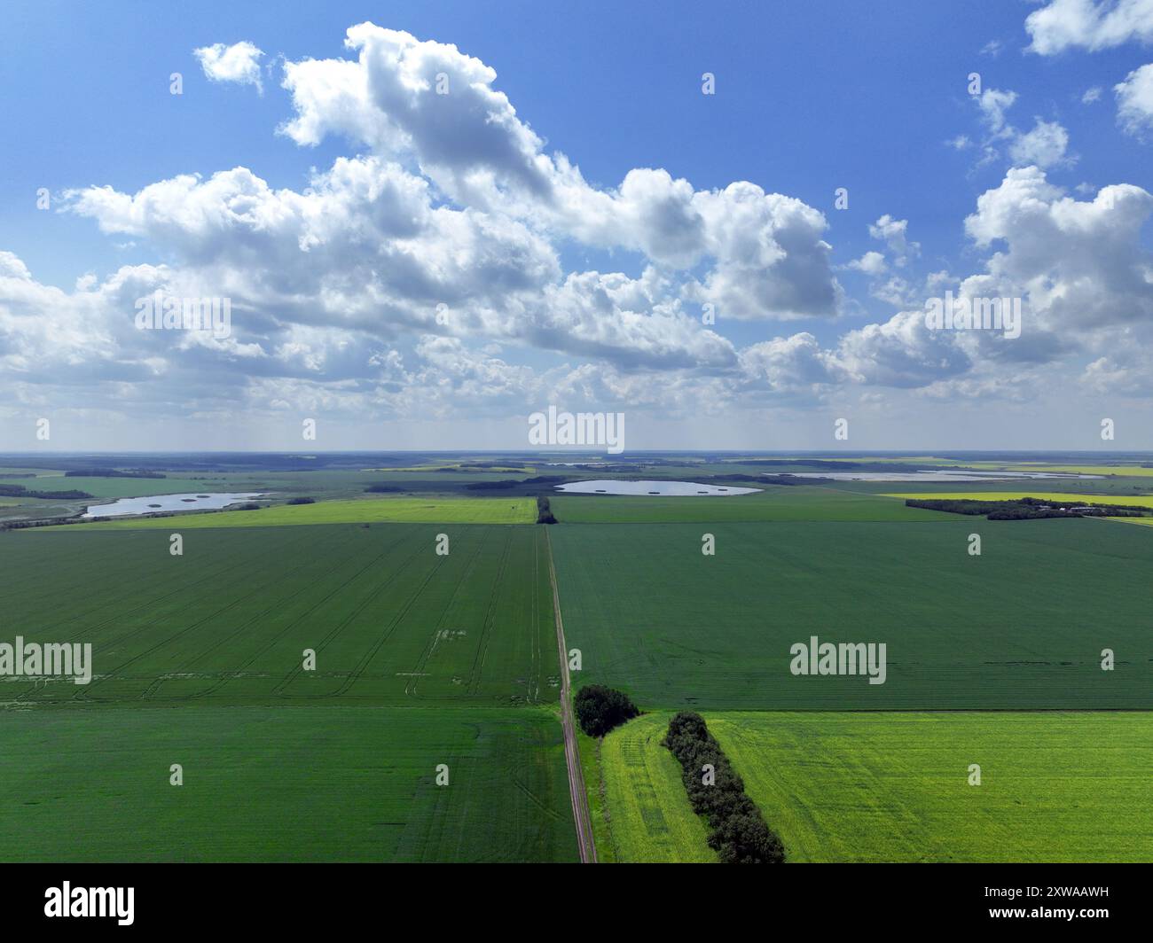 Country roads amid rain fields with small lakes in the distance in ...
