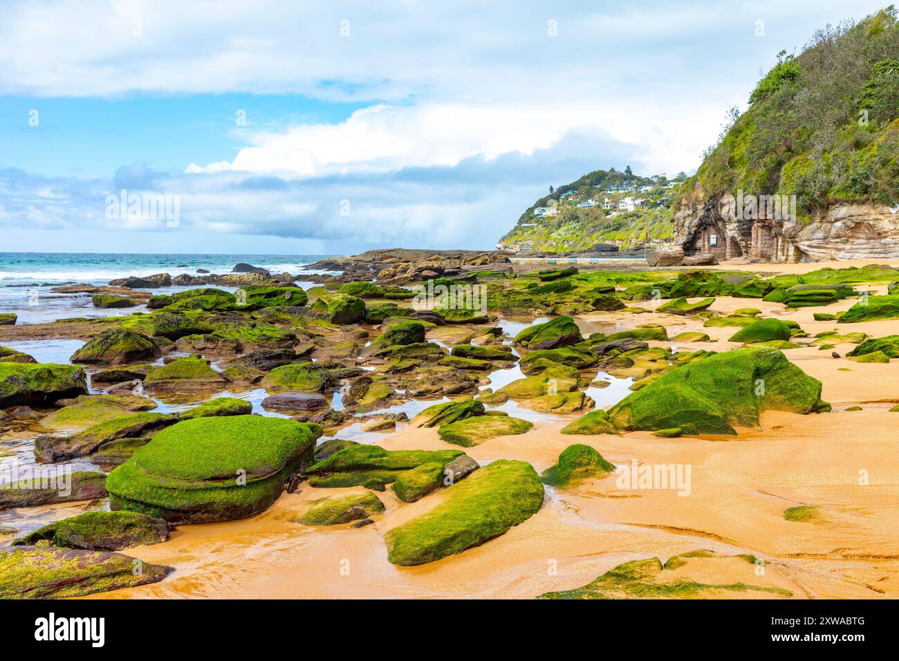 Whale beach, surf beach north of Sydney and adjacent to Palm Beach ...