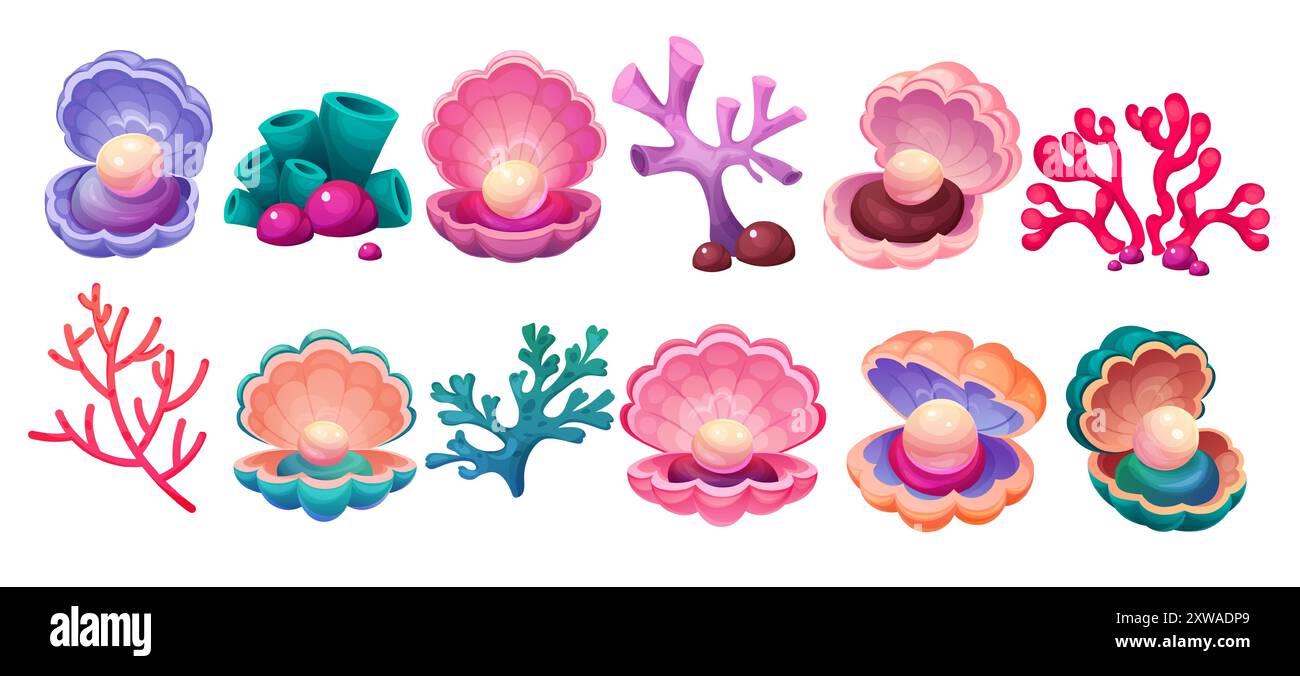 Under the sea. Seashell, tropical shellfish and beach snail shell ...