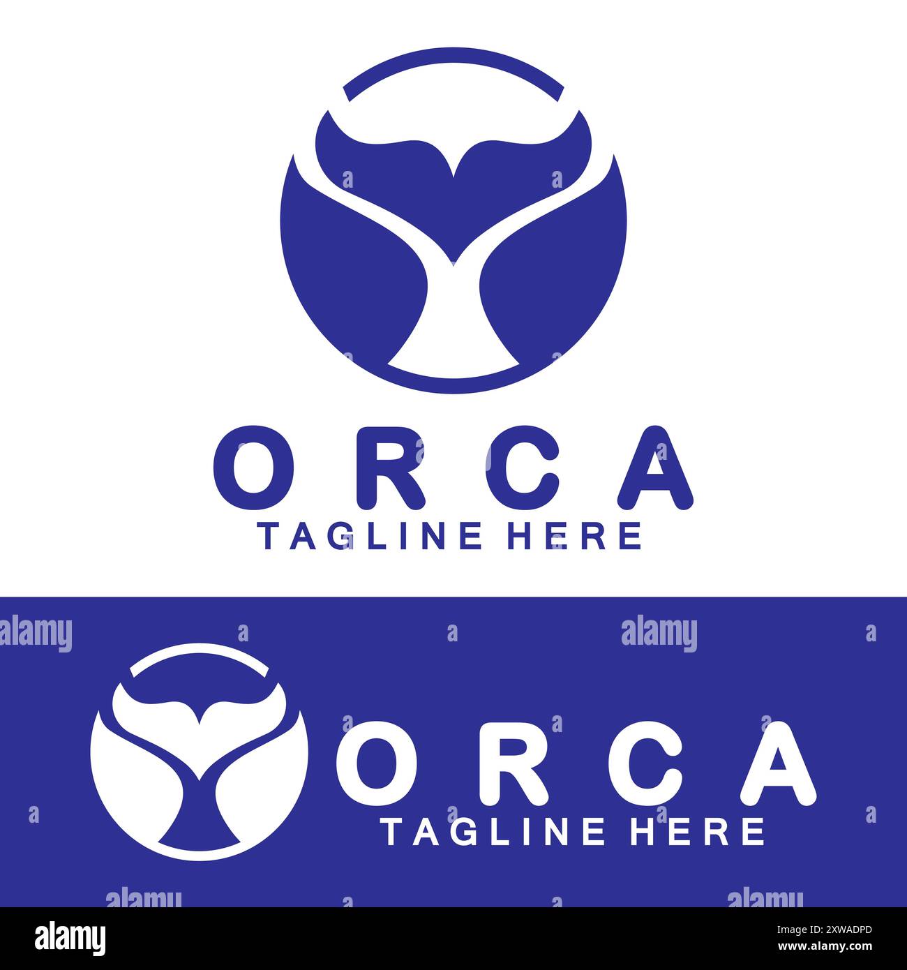 Killer whale Orca logo design vector illustration Stock Vector Image ...