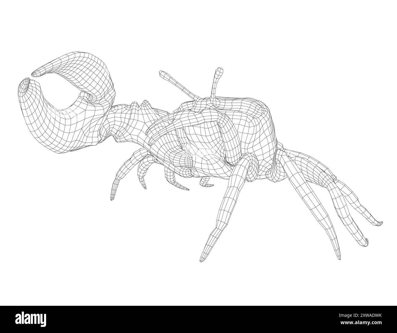 Wireframe of a crab with one huge claw made of black lines isolated on ...