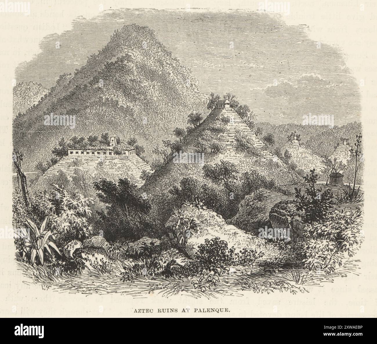 Aztec ruins at palenque hi-res stock photography and images - Alamy