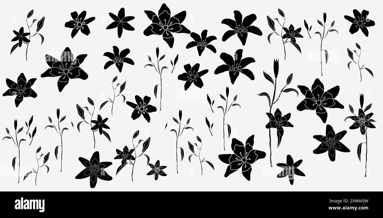 Various intricate illustrations hi-res stock photography and images - Alamy