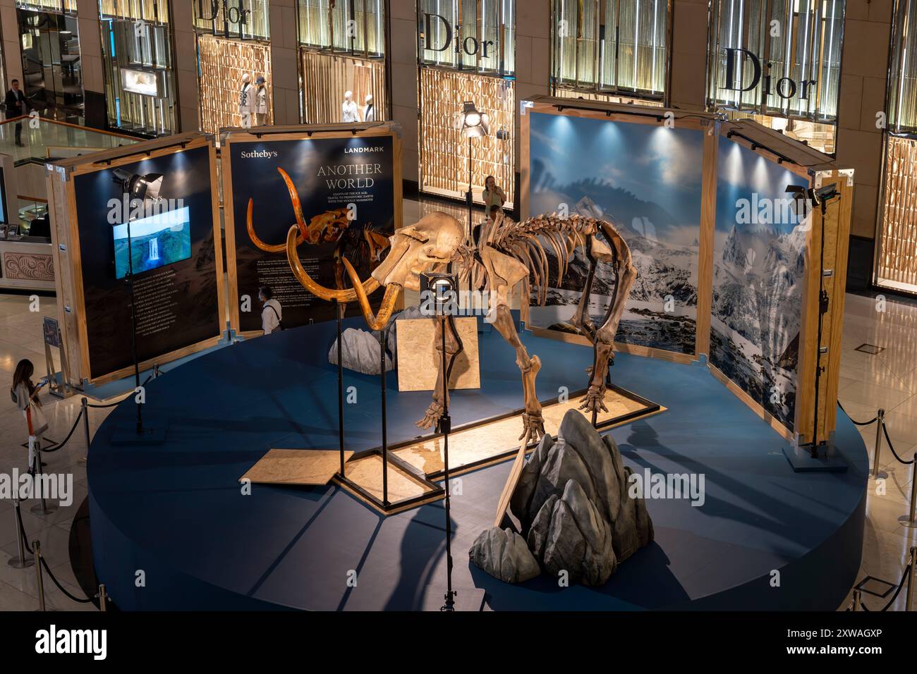 Sotheby's and Landmark Building unveil the largest Woolly Mammoth ...