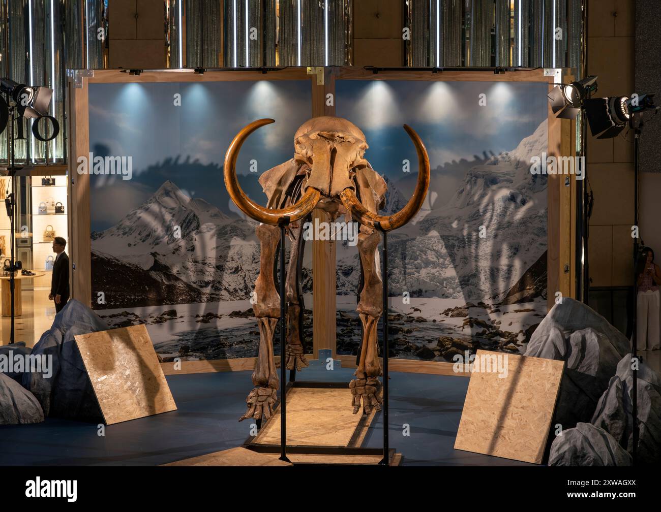 Sotheby's and Landmark Building unveil the largest Woolly Mammoth ...