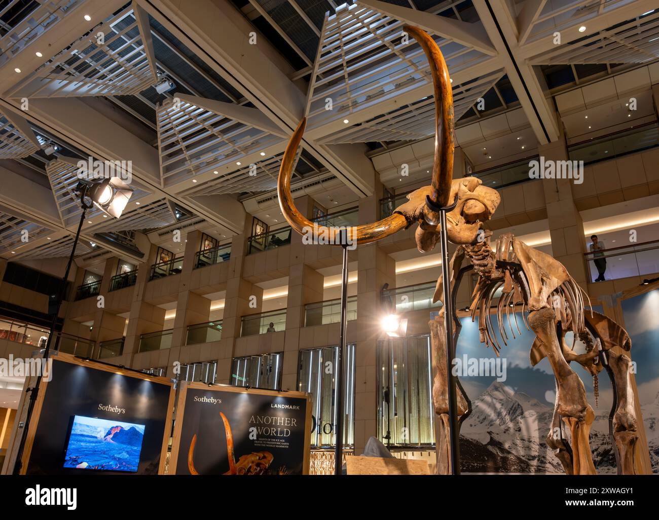 Sotheby's and Landmark Building unveil the largest Woolly Mammoth ...