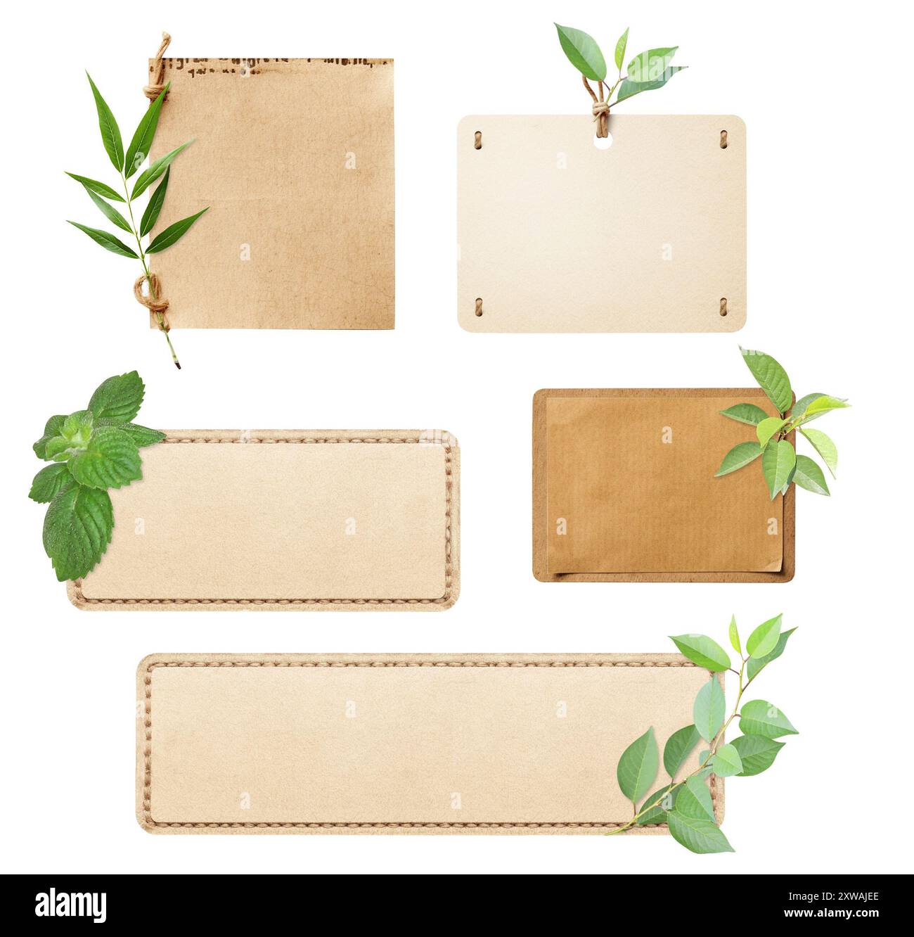 Set of organic paper price tag with leaf. Collection of eco-friendly ...