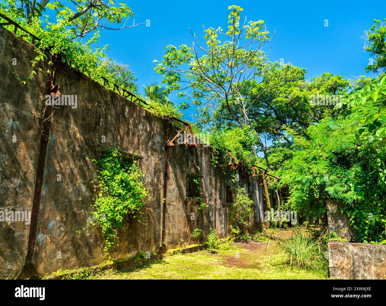 Old ruins of notorious penal colony in Saint Joseph Island, Salvation ...