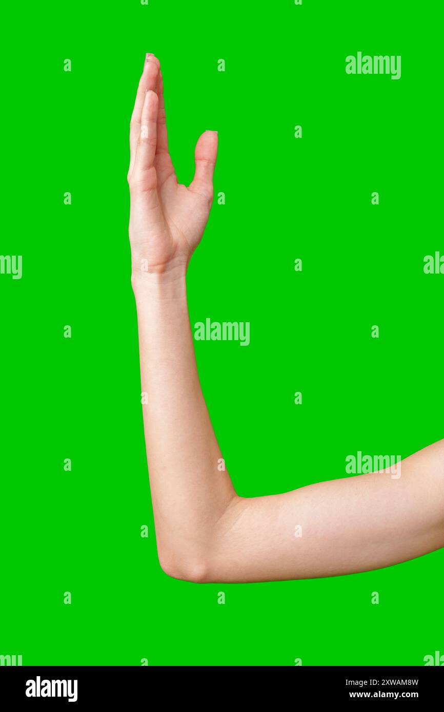 Woman's Right Arm Raised Against a Green Screen Background Stock Photo ...