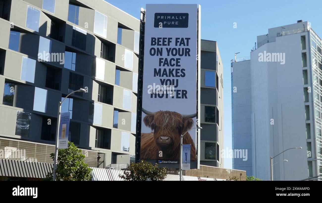 Los Angeles, California, USA 18th August 2024 Beef Fat on your Face ...