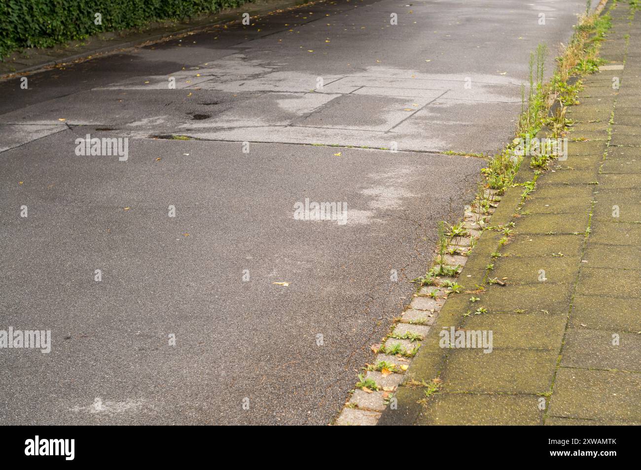 patched asphalt road with mossy pavement Stock Photo - Alamy