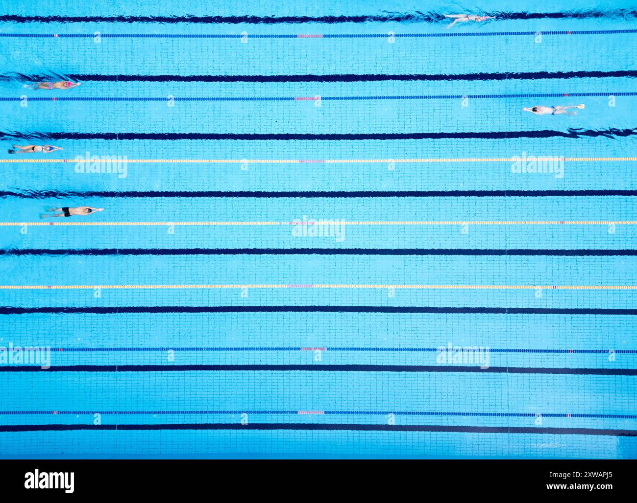 Drone video of swimmers in a clear blue pool, captured from above. The ...